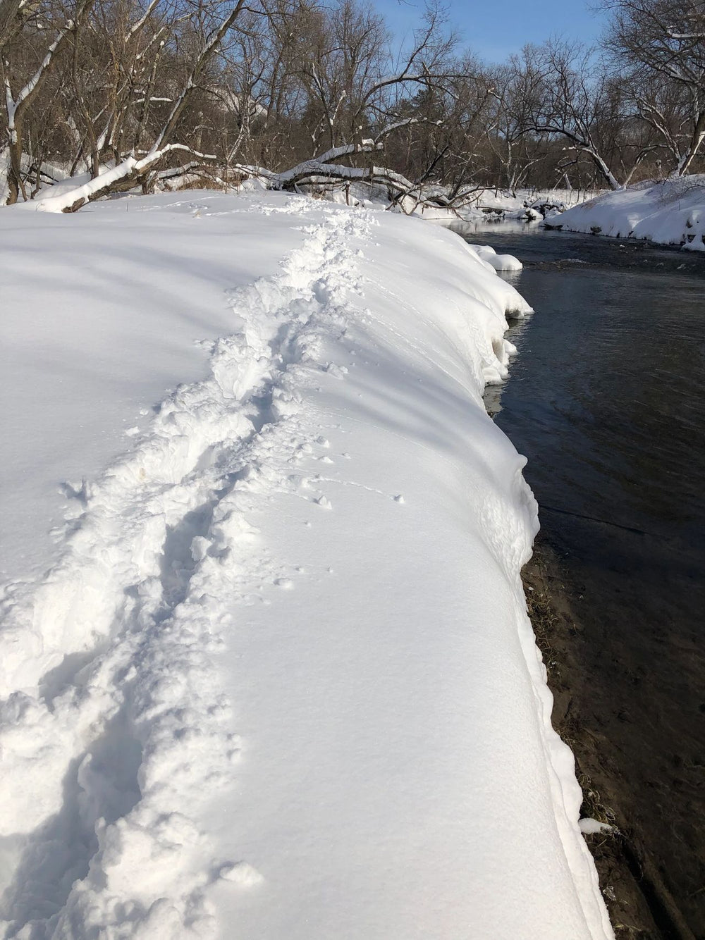 Deep Snow Minnesota Fly Fishing Success (Failure)